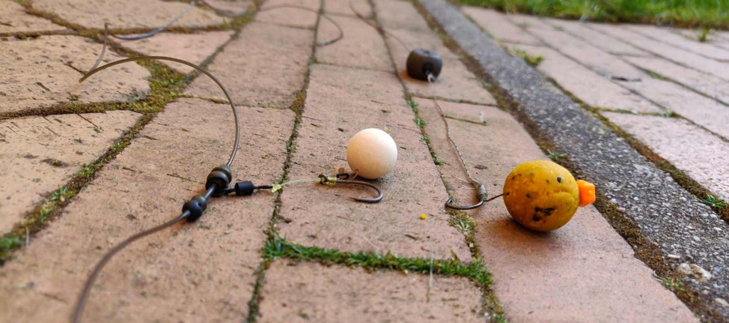 Karpervissen - Visviews