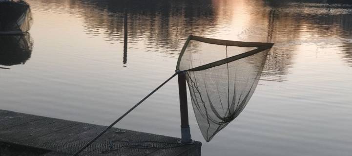 Karper uitrusting - Visviews