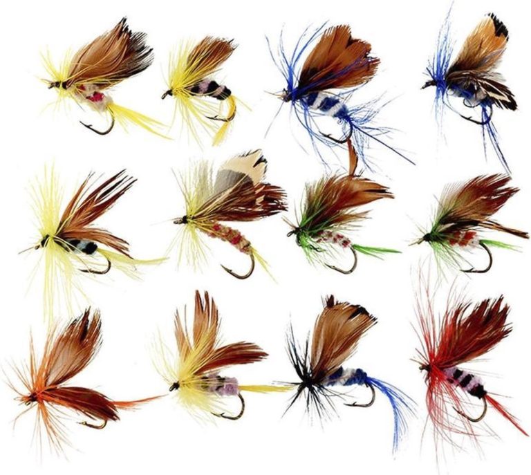 Vissen op geep? Lees hier hoe je een geep vangt! - Visviews